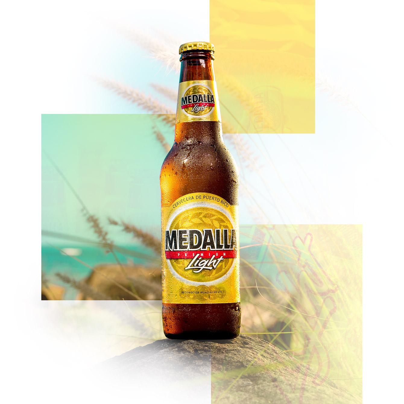 Nosotros | Medalla Light